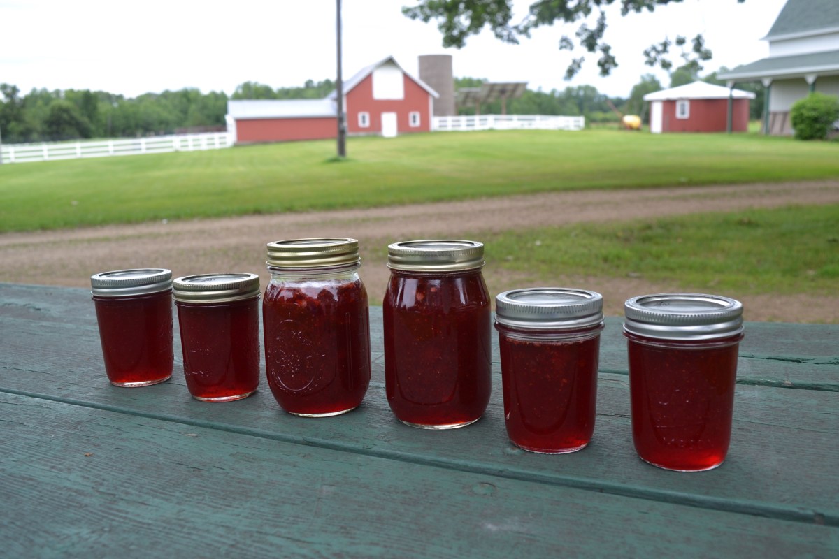 Strawberry Jam Tips – Rod's Berry Farm